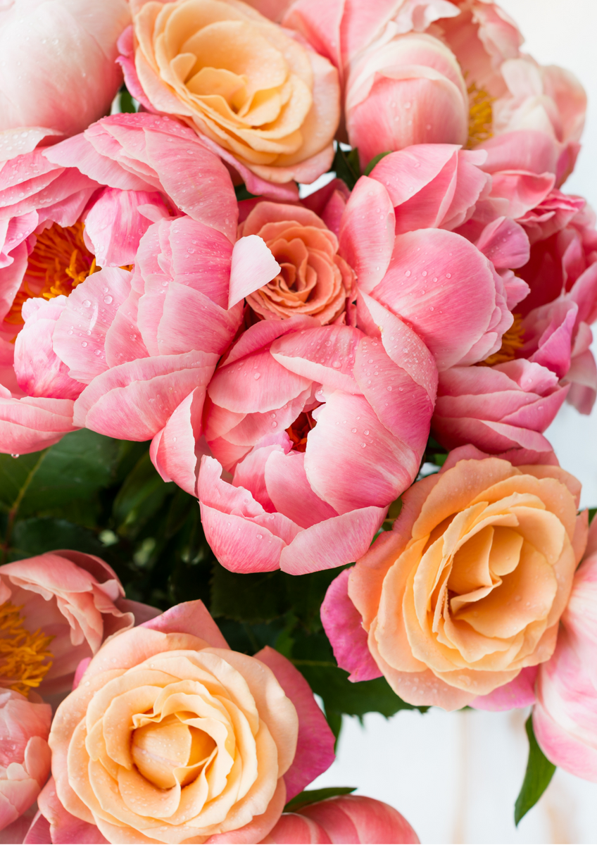 PEONY Boho Bracelet – Mymemory